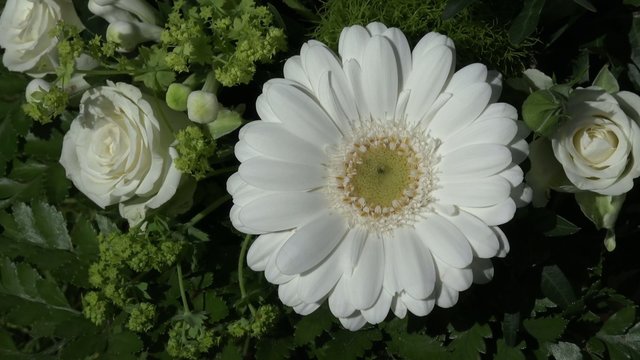 Bumen Images – Browse 351 Stock Photos, Vectors, and Video | Adobe Stock