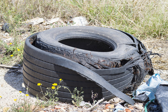 Reventado Images – Browse 1 Stock Photos, Vectors, and Video | Adobe Stock