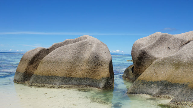 Yearning Images – Browse 645,850 Stock Photos, Vectors, and Video ...