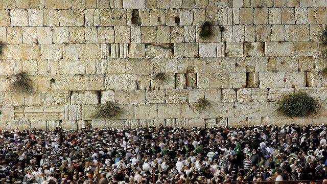 Tshuva bilder – Bläddra bland 14 stockfoton, vektorer och videor ...