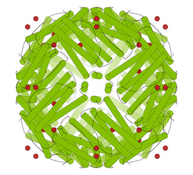 รูปภาพFeritin – เลือกดูภาพถ่ายสต็อก เวกเตอร์ และวิดีโอ10 | Adobe Stock