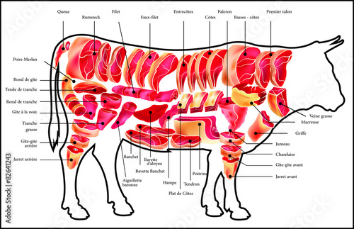 Boeuf morceaux de viande | Parillada, Coupes de boeuf, Boeuf