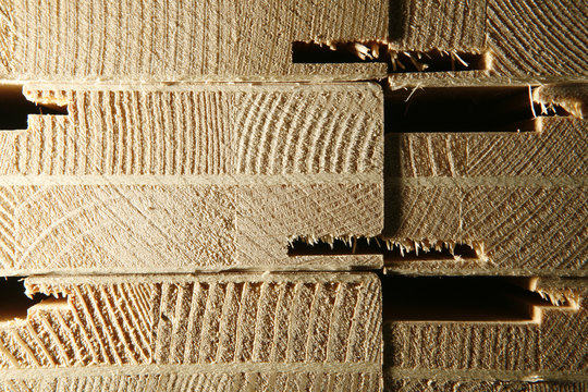 "Colla Bilder – Durchsuchen 1,211 Archivfotos, Vektorgrafiken und ...