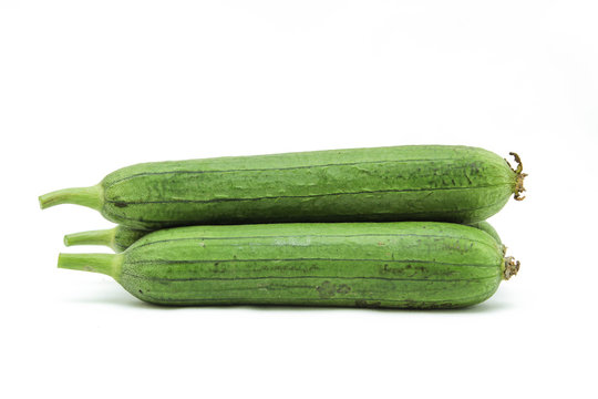 Nagle Images – Browse 16 Stock Photos, Vectors, and Video | Adobe Stock