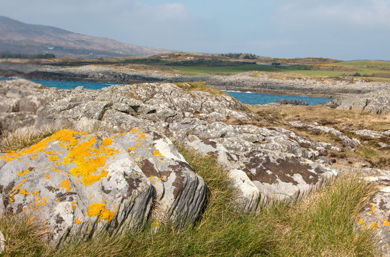 Toormore Images – Browse 36 Stock Photos, Vectors, and Video | Adobe Stock