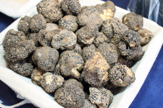 รูปภาพTrifola – เลือกดูภาพถ่ายสต็อก เวกเตอร์ และวิดีโอ89 | Adobe Stock