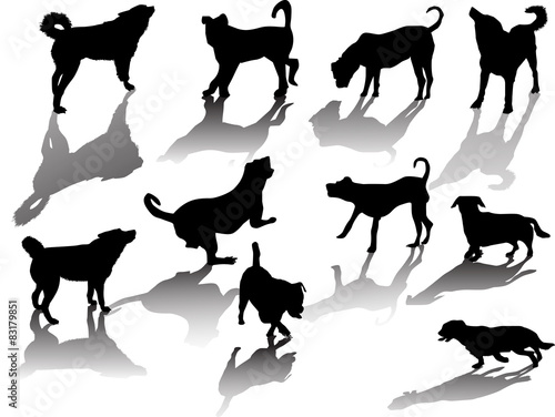 "ten black silhouettes of dog with shadows" Stockfotos und lizenzfreie ...