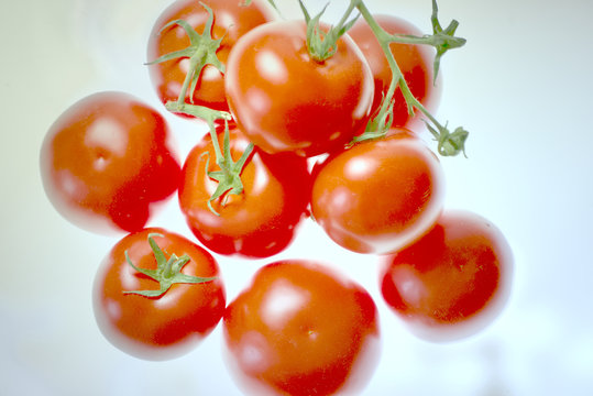 「Genmanipuliert」の画像 - 636 件の Stock 写真、ベクターおよびビデオ | Adobe Stock