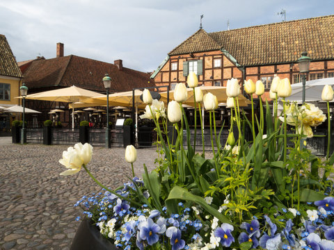 Lilla bilder – Bläddra bland 5,777 stockfoton, vektorer och videor ...