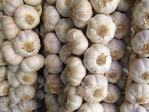 Ristras bilder – Bläddra bland 155 stockfoton, vektorer och videor ...