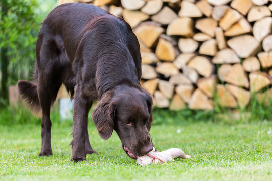 Schmatzen bilder – Bläddra bland 340 stockfoton, vektorer och videor ...