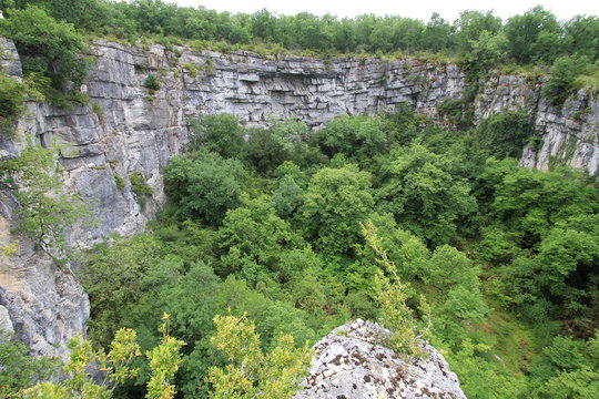 Igue Images – Browse 11 Stock Photos, Vectors, and Video | Adobe Stock