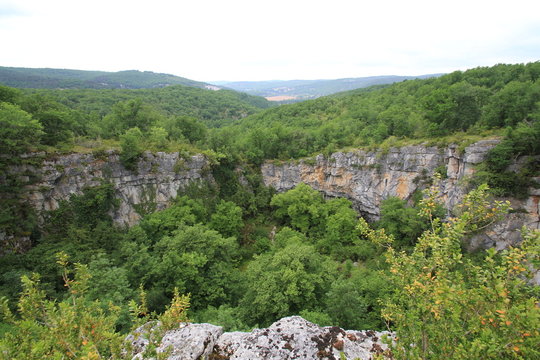 Igue Images – Browse 11 Stock Photos, Vectors, and Video | Adobe Stock