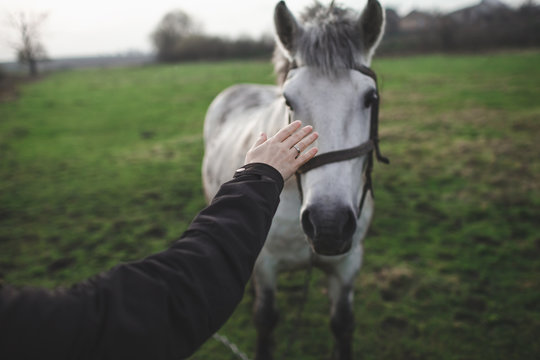 Hors Images – Browse 1,608,531 Stock Photos, Vectors, and Video | Adobe ...