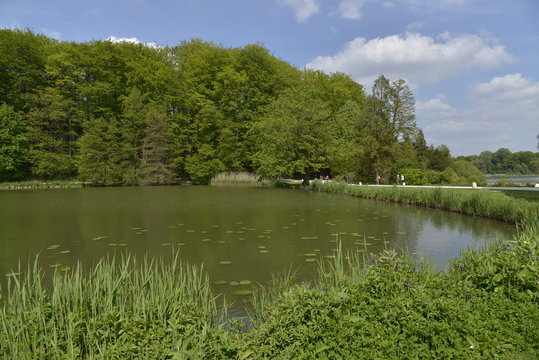 Hulp Bilder – Durchsuchen 239 Archivfotos, Vektorgrafiken und Videos ...