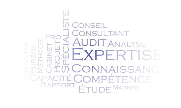 รูปภาพAuditeur – เลือกดูภาพถ่ายสต็อก เวกเตอร์ และวิดีโอ99 | Adobe Stock