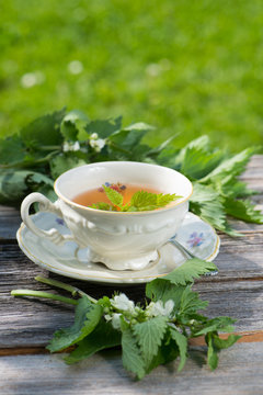 Brennesseltee Imagens – Procure 312 fotos, vetores e vídeos | Adobe Stock