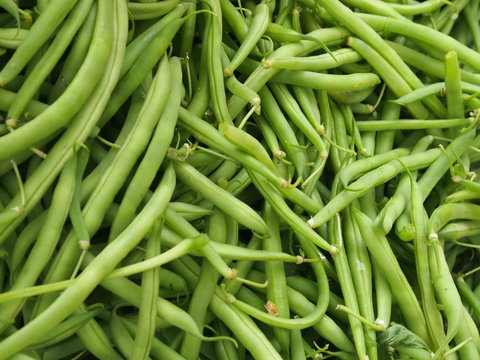 Bohnenstange Images – Browse 55 Stock Photos, Vectors, and Video ...