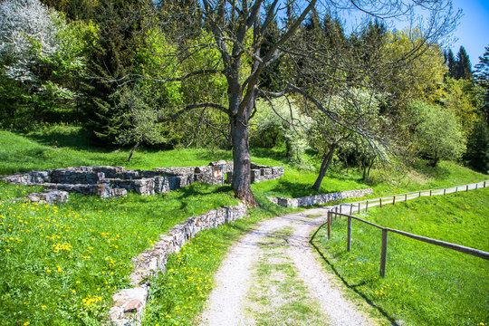 Kaliste Images – Browse 104 Stock Photos, Vectors, and Video | Adobe Stock