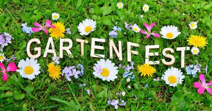 Gartenfest Clipart Flower