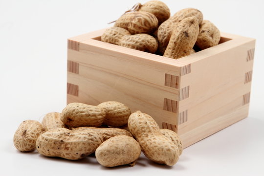 ピーナツ Images – Browse 2,899 Stock Photos, Vectors, and Video | Adobe Stock