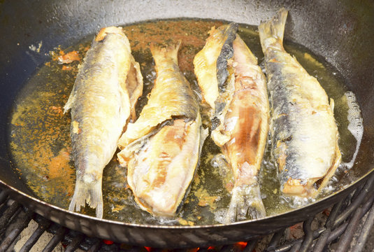 รูปภาพBrathering – เลือกดูภาพถ่ายสต็อก เวกเตอร์ และวิดีโอ183 | Adobe Stock