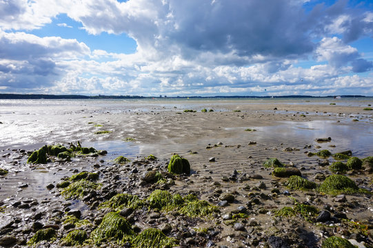 รูปภาพMarschlandschaft – เลือกดูภาพถ่ายสต็อก เวกเตอร์ และวิดีโอ237 ...