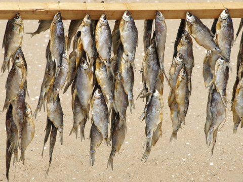 Wobla Images – Browse 57 Stock Photos, Vectors, and Video | Adobe Stock