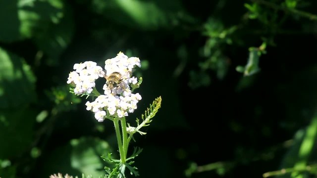 รูปภาพObrera – เลือกดูภาพถ่ายสต็อก เวกเตอร์ และวิดีโอ239 | Adobe Stock