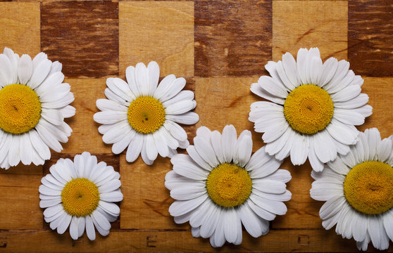 Draughtboard Images – Browse 67 Stock Photos, Vectors, and Video ...