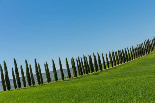 Imágenes de Ansteigend: descubre bancos de fotos, ilustraciones ...