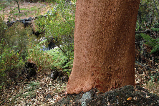 รูปภาพByob – เลือกดูภาพถ่ายสต็อก เวกเตอร์ และวิดีโอ2,087 | Adobe Stock