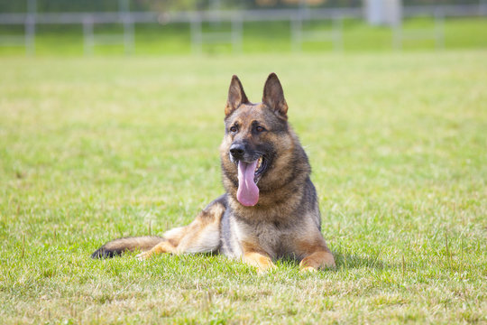 170 BEST Heedful IMAGES, STOCK PHOTOS & VECTORS | Adobe Stock