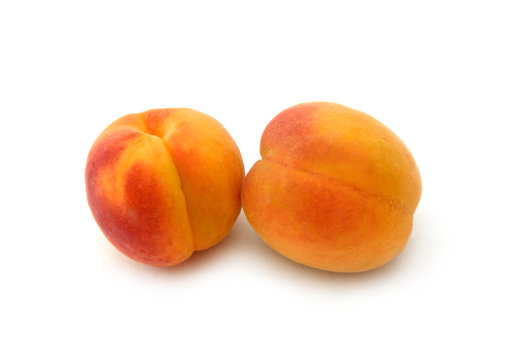 「Marille」の写真素材 | 2,185件の無料イラスト画像 | Adobe Stock