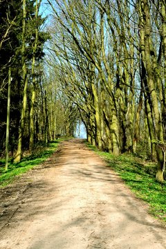 Fotolia - Images et vidéos libres de droits | Adobe Stock