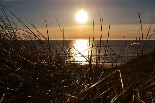 Fotolia - Images et vidéos libres de droits | Adobe Stock