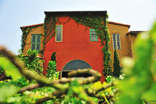 Unicostate Images – Browse 5 Stock Photos, Vectors, and Video | Adobe Stock