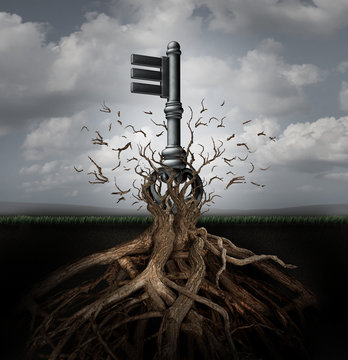 Emerge Images – Browse 111,622 Stock Photos, Vectors, and Video | Adobe ...