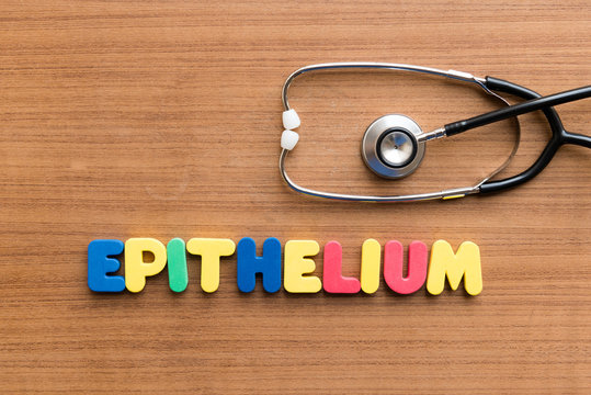 Epithem Images – Browse 10 Stock Photos, Vectors, and Video | Adobe Stock