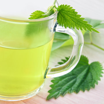 Brennesseltee bilder – Bläddra bland 312 stockfoton, vektorer och ...