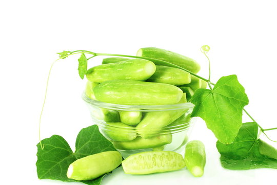 รูปภาพTindla – เลือกดูภาพถ่ายสต็อก เวกเตอร์ และวิดีโอ2,110 | Adobe Stock