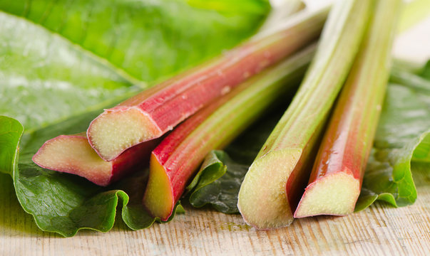 รูปภาพRubarb – เลือกดูภาพถ่ายสต็อก เวกเตอร์ และวิดีโอ2,390 | Adobe Stock