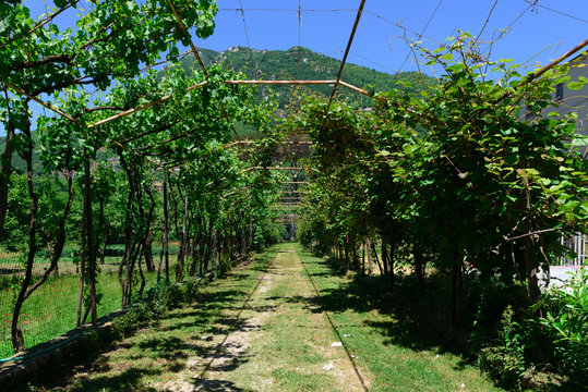 รูปภาพVitigno – เลือกดูภาพถ่ายสต็อก เวกเตอร์ และวิดีโอ1,834 | Adobe Stock