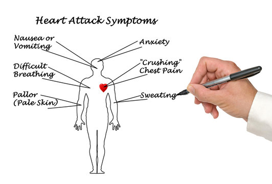 「Sife」の写真素材 | 25件の無料イラスト画像 | Adobe Stock