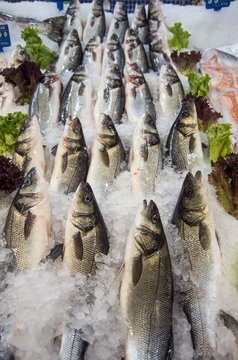 รูปภาพLevrek – เลือกดูภาพถ่ายสต็อก เวกเตอร์ และวิดีโอ412 | Adobe Stock