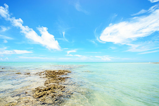 Cheilosis Bilder – Durchsuchen 23,582 Archivfotos, Vektorgrafiken und ...