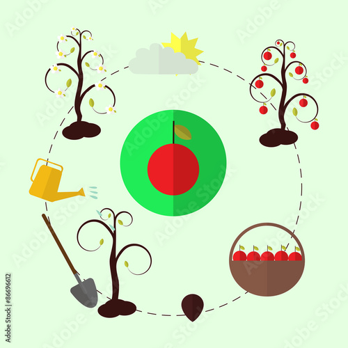 "Planting apple trees flat vector" Stock image and royalty-free vector ...