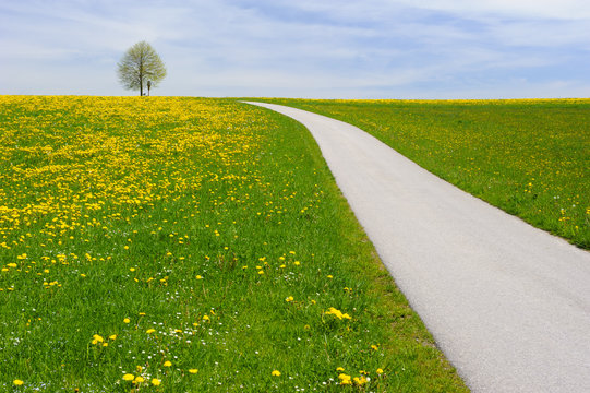 Weging bilder – Bläddra bland 2,608 stockfoton, vektorer och videor ...