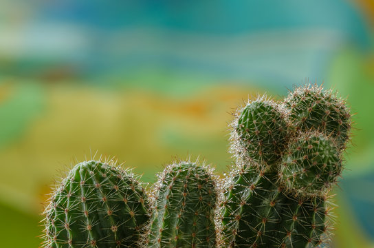 Hollertau Bilder – Durchsuchen 117 Archivfotos, Vektorgrafiken und ...