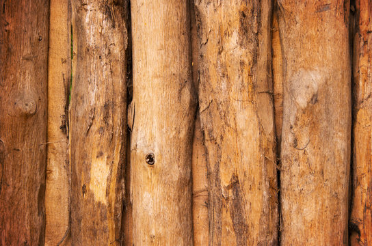 "Log Background"-Bilder: Stock-Fotos & -Videos. | Adobe Stock